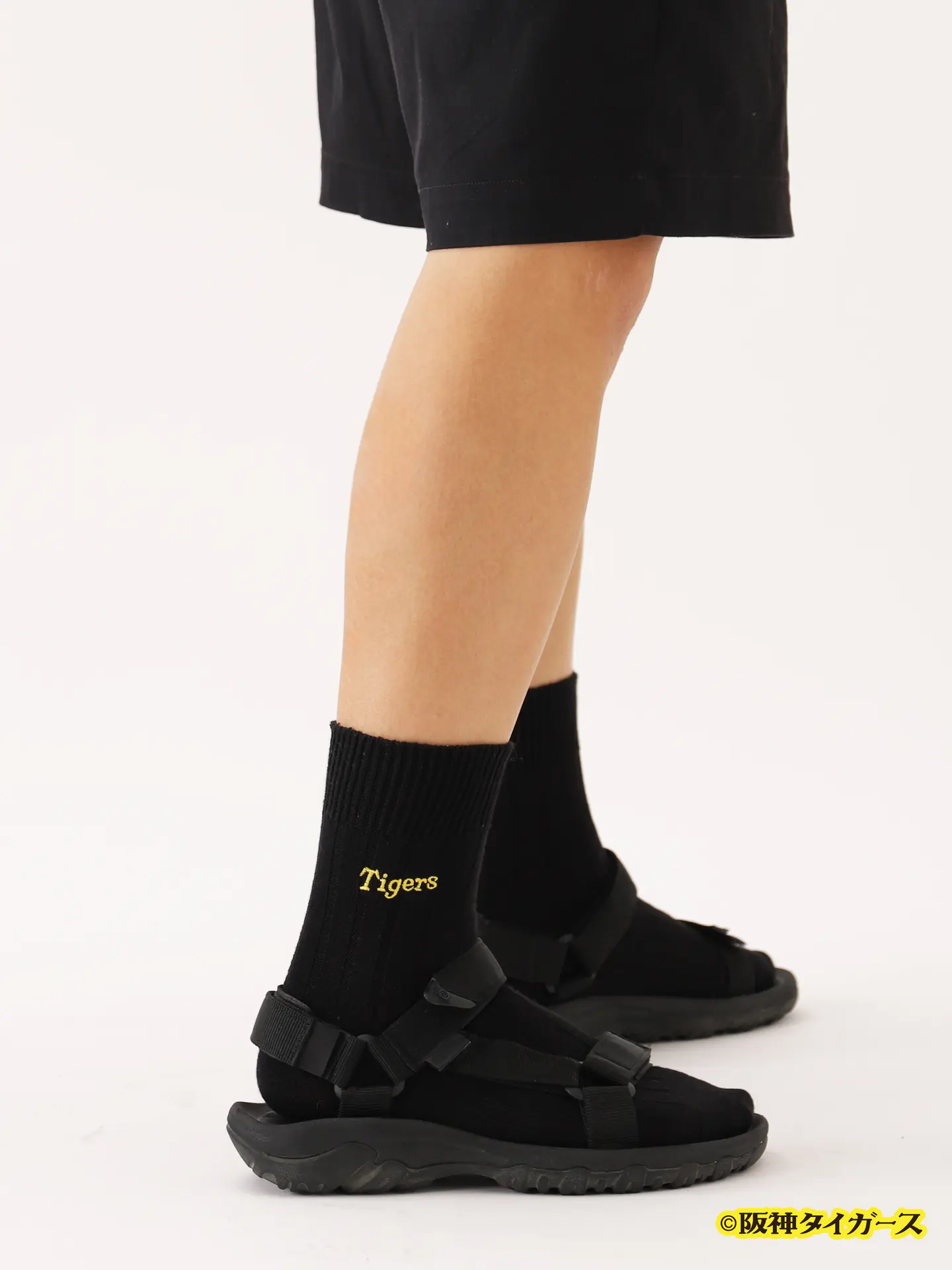 【Tigers】刺繍メンズソックス ( 062132253 ) | 靴下屋公式通販 Tabio オンラインストア