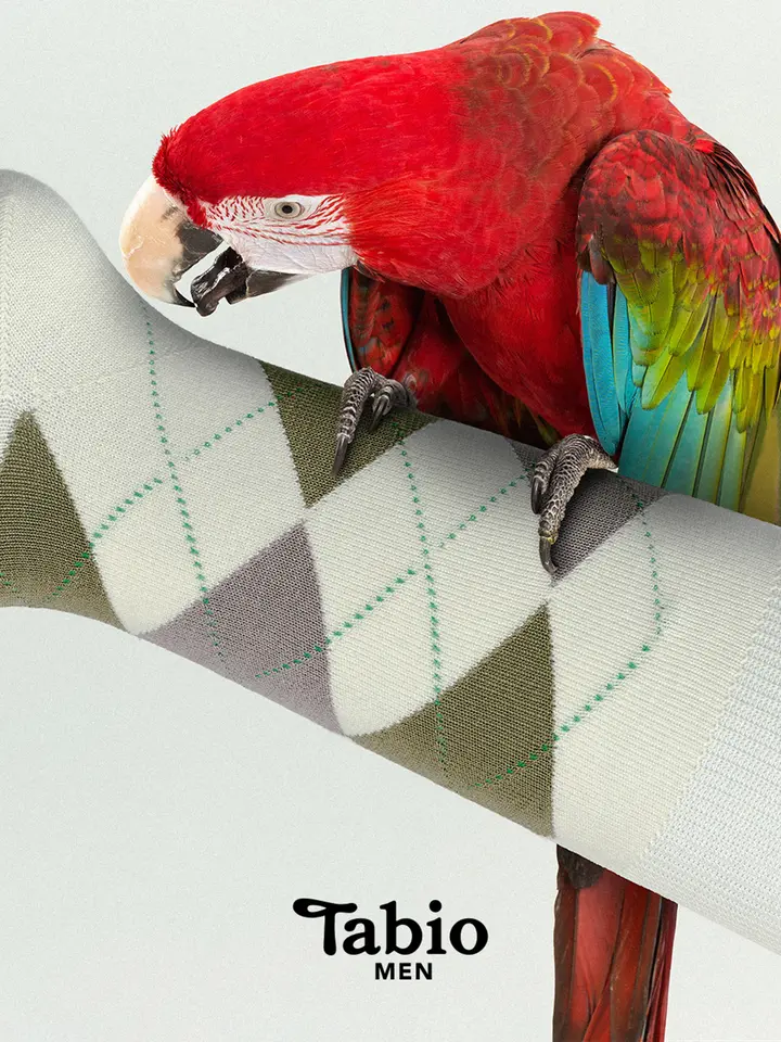 【Tabio MEN】Tabio chic アーガイルレギュラーソックス ( 062140261 ) | 靴下屋公式通販 Tabio オンラインストア