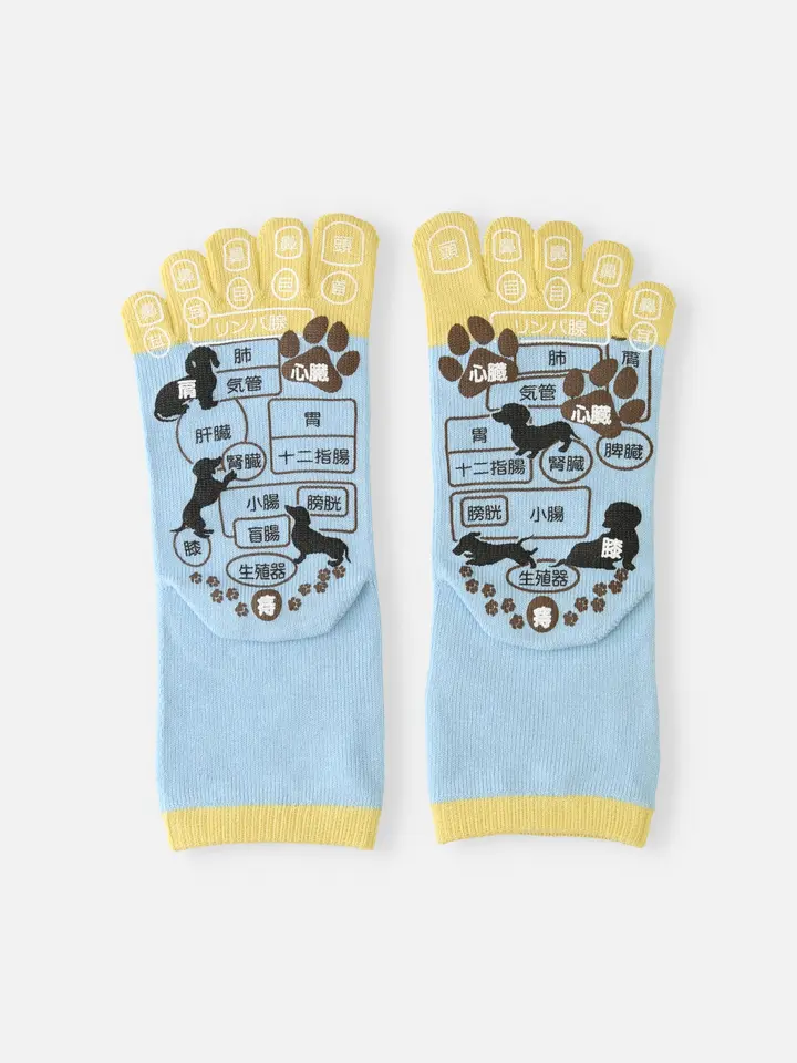 【WEB限定】イヌ ツボ押しプリント五本指ソックスセット 22-24㎝ ( 980000455 ) | 靴下屋公式通販 Tabio オンラインストア